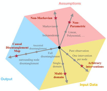 Disentangled Representation Learning in Non-Markovian Causal Systems · NeurIPS 2024