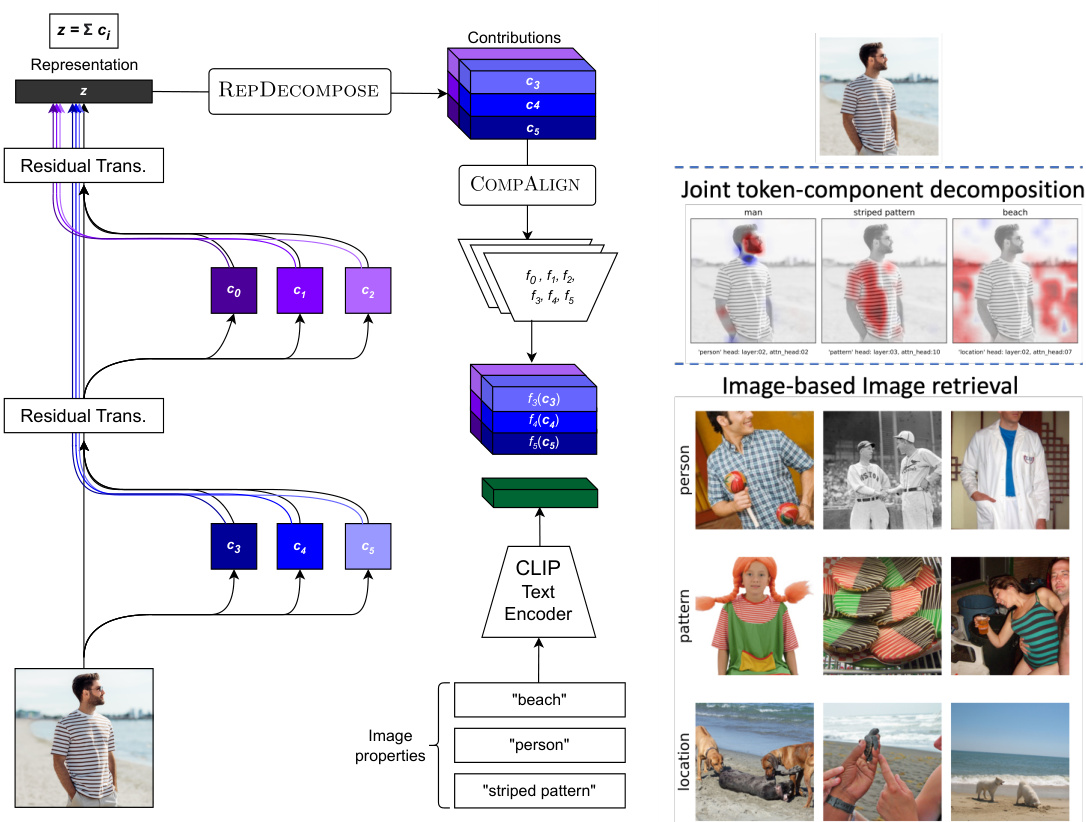 Decomposing and Interpreting Image Representations via Text in ViTs Beyond CLIP · NeurIPS 2024