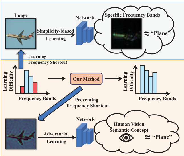 Towards Combating Frequency Simplicity-biased Learning for Domain Generalization · NeurIPS 2024