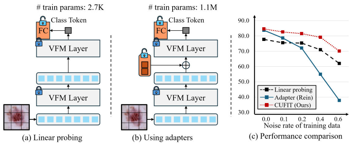 Curriculum Fine-tuning of Vision Foundation Model for Medical Image Classification Under Label ...