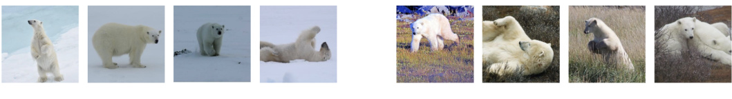 A Sober Look at the Robustness of CLIPs to Spurious Features · NeurIPS 2024