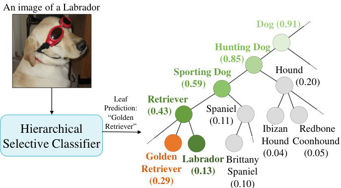 Hierarchical Selective Classification · NeurIPS 2024