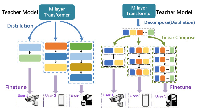Linearly Decomposing and Recomposing Vision Transformers for Diverse ...
