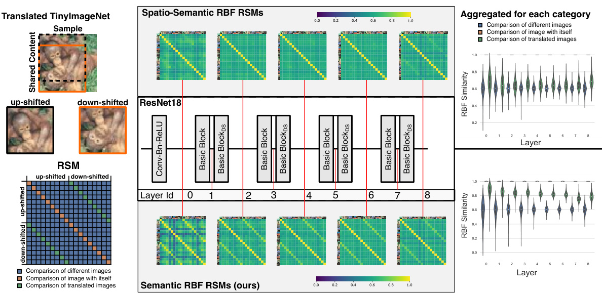 Decoupling Semantic Similarity from Spatial Alignment for Neural Networks. · NeurIPS 2024
