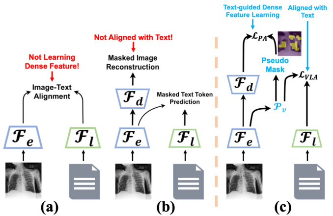 G2D: From Global to Dense Radiography Representation Learning via ...