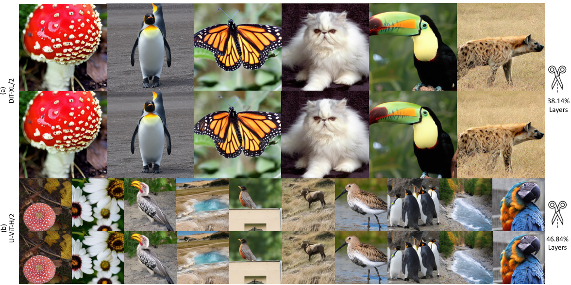 Learning-to-Cache: Accelerating Diffusion Transformer via Layer Caching · NeurIPS 2024