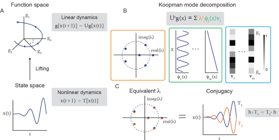 Identifying Equivalent Training Dynamics · NeurIPS 2024