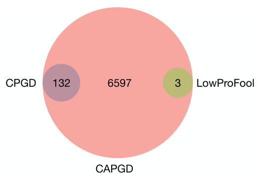 Constrained Adaptive Attack: Effective Adversarial Attack Against Deep Neural Networks for ...