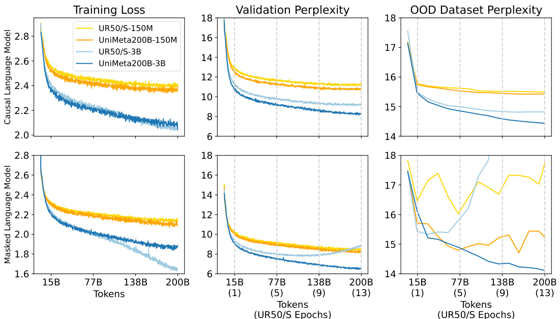 Training Compute-Optimal Protein Language Models · NeurIPS 2024
