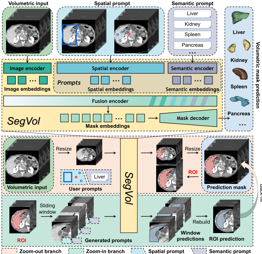 SegVol: Universal and Interactive Volumetric Medical Image Segmentation · NeurIPS 2024
