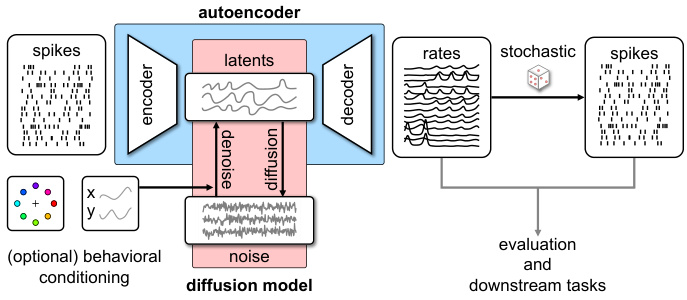 Latent Diffusion for Neural Spiking Data · NeurIPS 2024